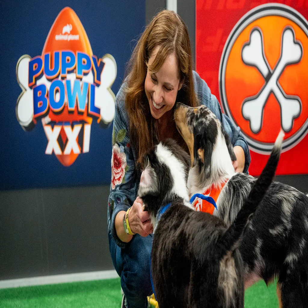 Meet Victoria Schade, lead ‘Puppy Bowl’ trainer - Fast Company