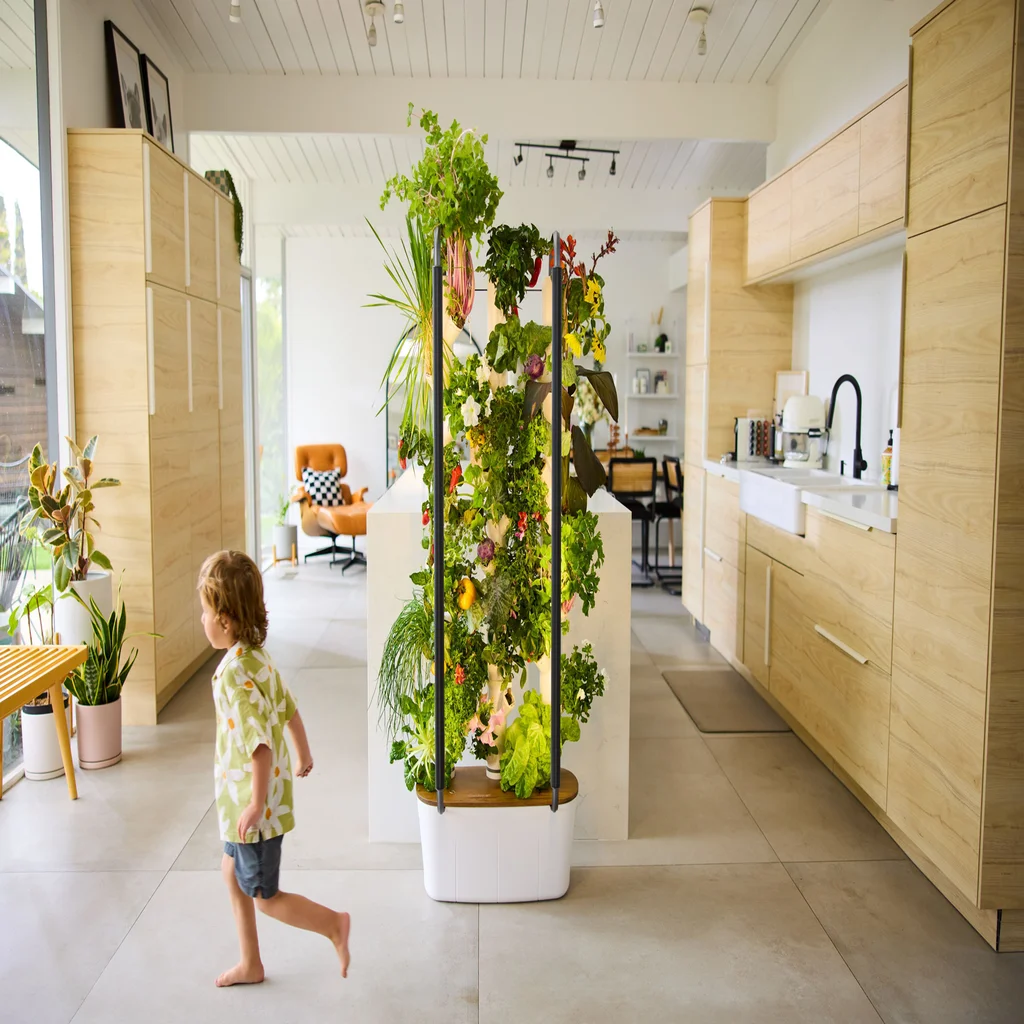 Innovation by Design 2025: The most interesting product design - Fast ...