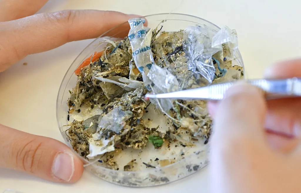 How states and cities are tackling the microplastics problem - Fast Company