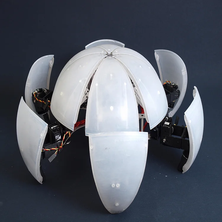This Ingenious Robot Rolls, Unfolds, Then Scampers - Fast Company