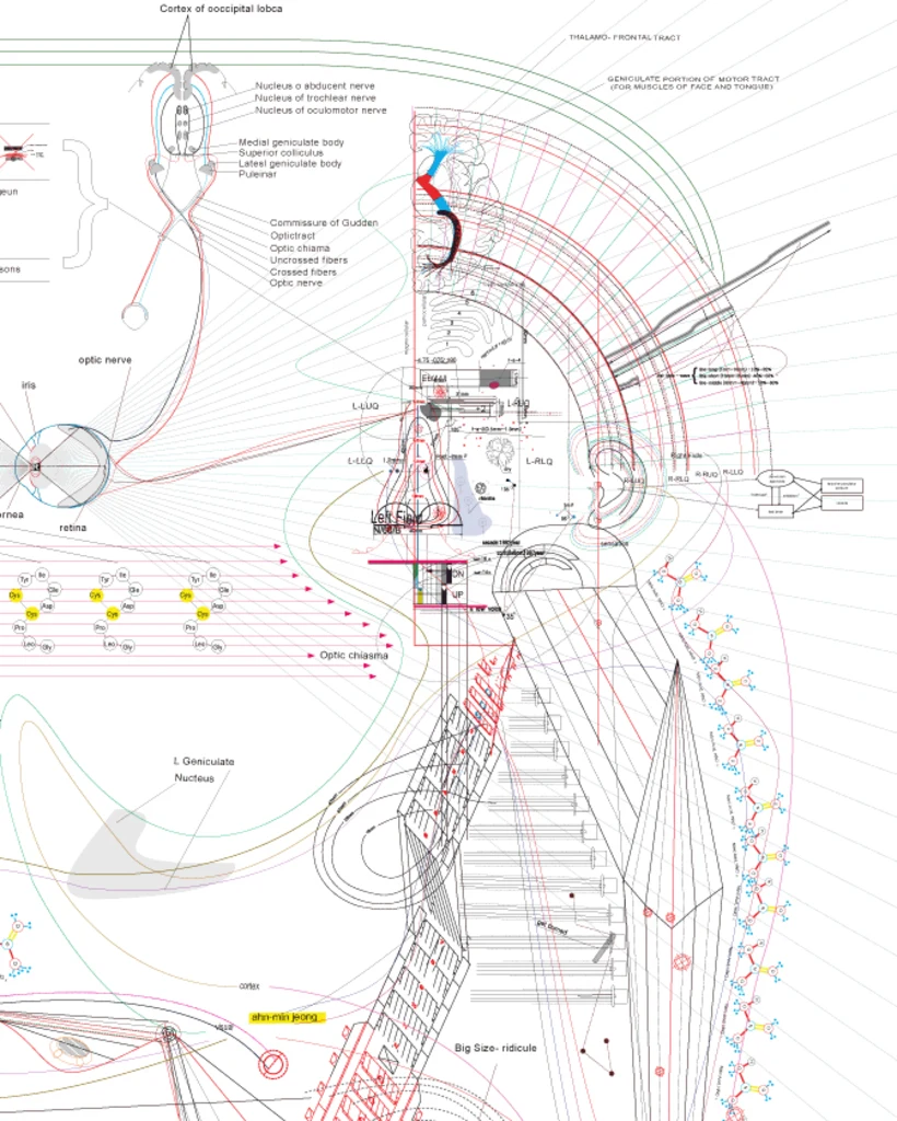 What Would Your Portrait Look Like, As A Blueprint? - Fast Company