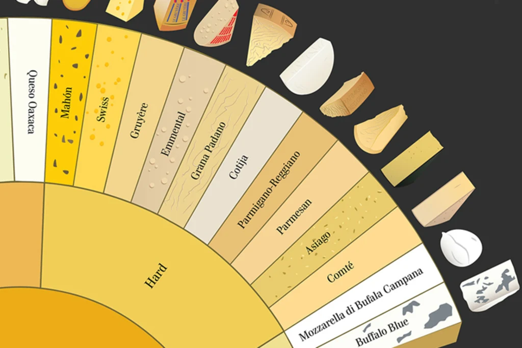 Infographic: How To Tell The Difference Between 66 Varieties Of Cheese ...