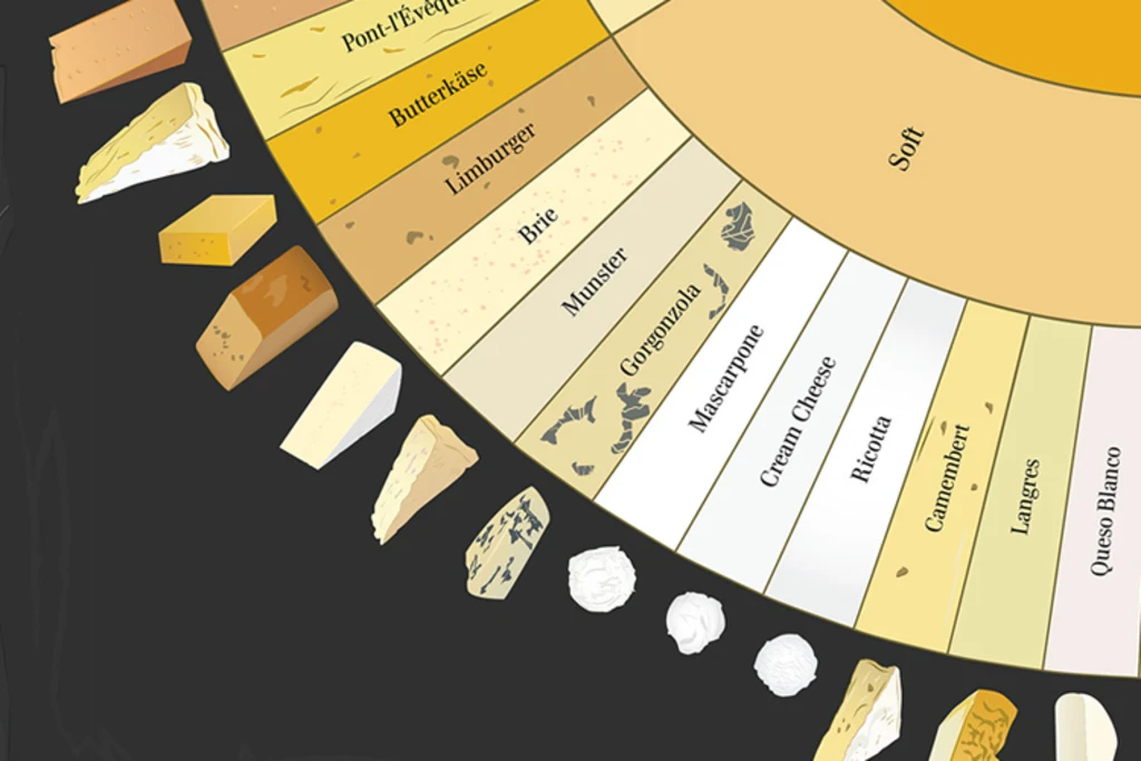 Infographic: How To Tell The Difference Between 66 Varieties Of Cheese ...