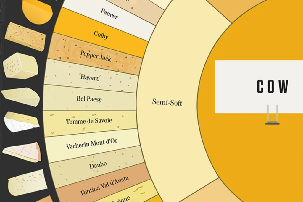 Infographic: How To Tell The Difference Between 66 Varieties Of Cheese ...