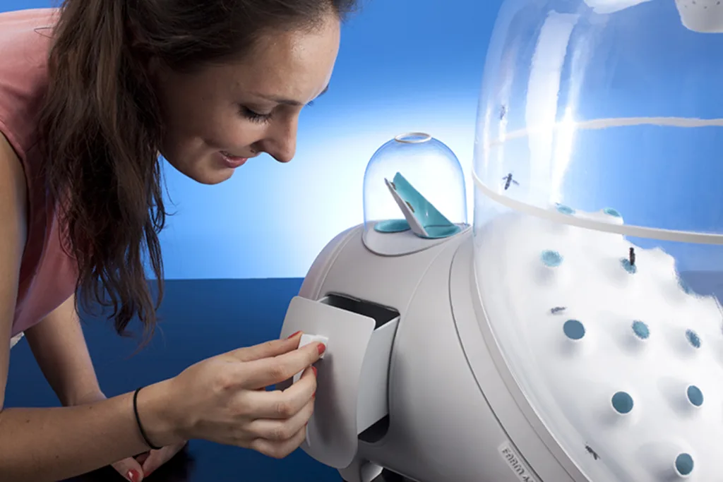 A Kit To Grow Bugs At Home, To Eat! - Fast Company