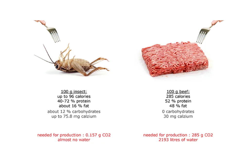 A Kit To Grow Bugs At Home, To Eat! - Fast Company