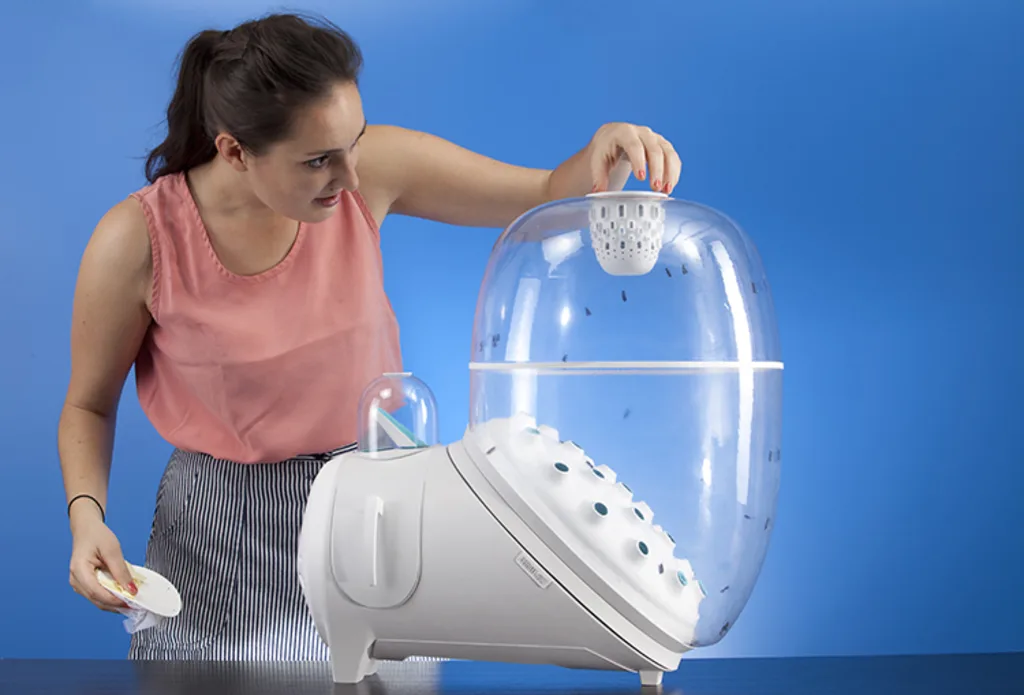 A Kit To Grow Bugs At Home, To Eat! - Fast Company