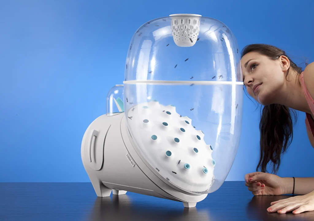 A Kit To Grow Bugs At Home, To Eat! - Fast Company