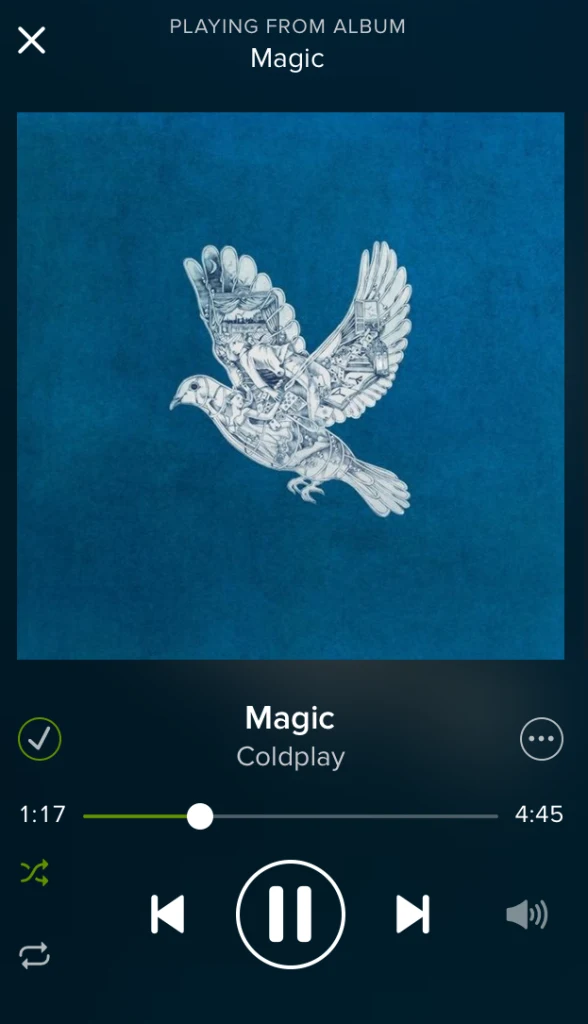 coldplay magic bird