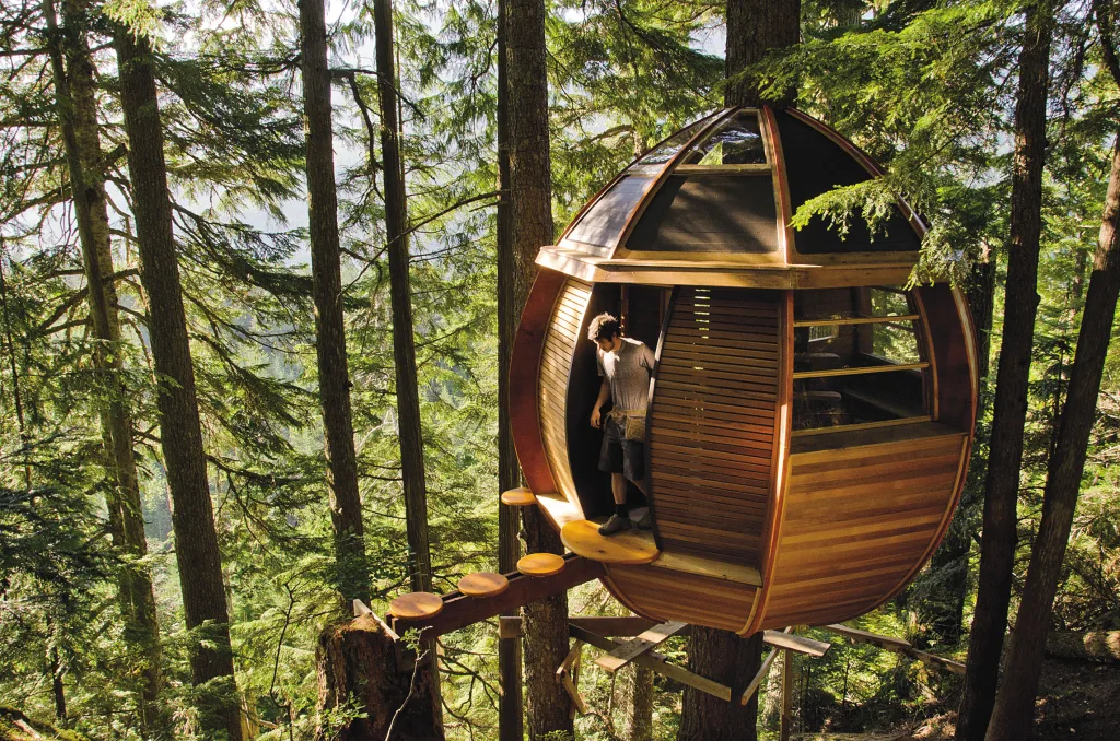 world's coolest treehouse