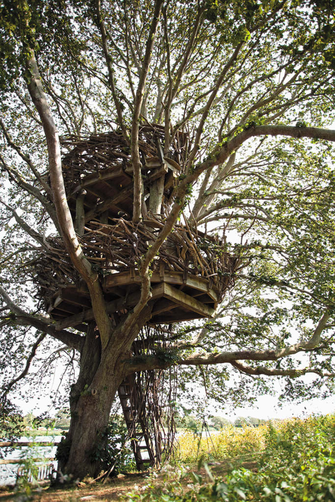 13 Of The World's Coolest Treehouses - Fast Company