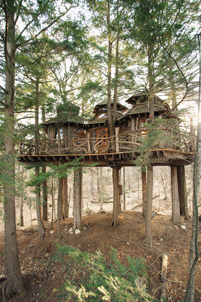 13 Of The World's Coolest Treehouses - Fast Company