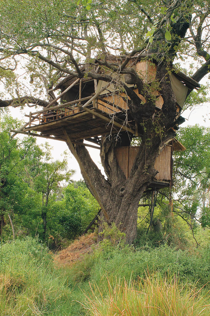 13 Of The World's Coolest Treehouses - Fast Company