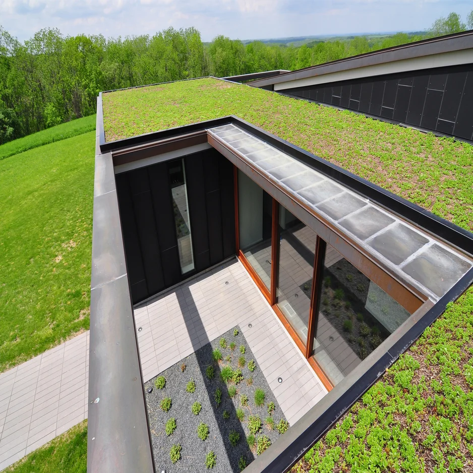 This House Appears To Grow Out Of The Ground - Fast Company