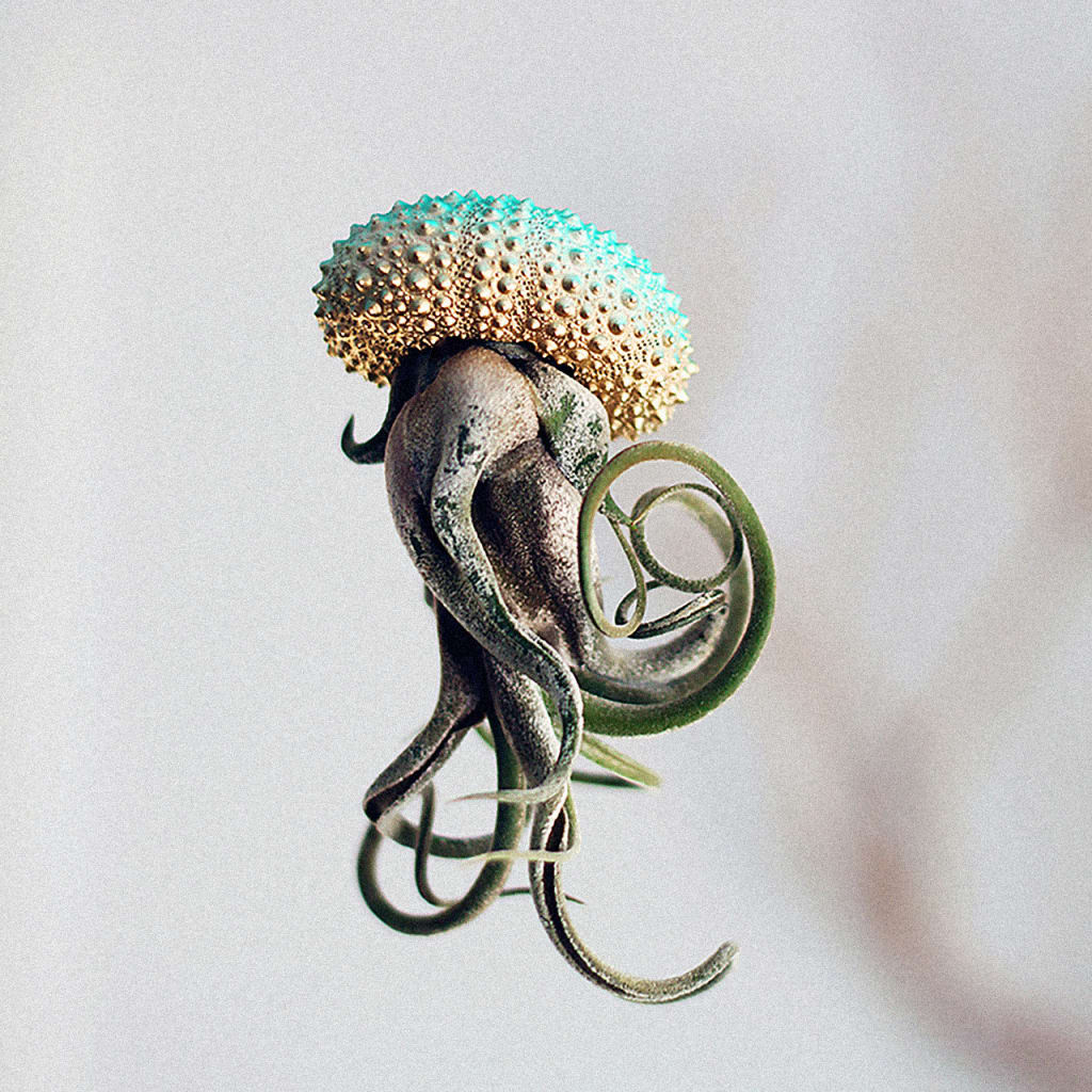 These Plants Look Like Jellyfish Swimming Through Your House - Fast Company