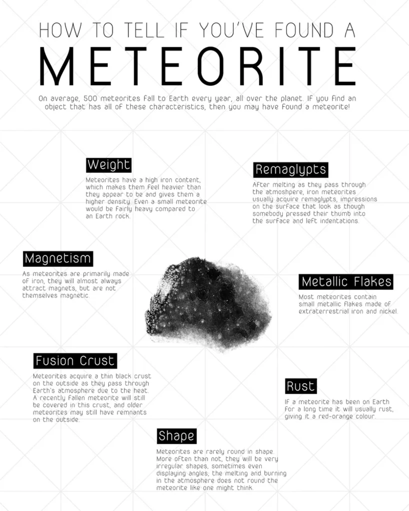 9 Infographics To Help You Understand The Woolly World Of Science ...