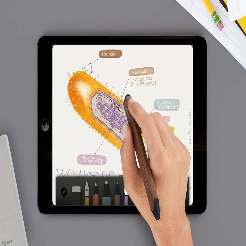 The Best iPad Sketch App, Paper, Is Now Completely Free - Fast Company