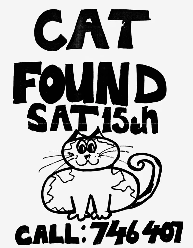 cat found poster