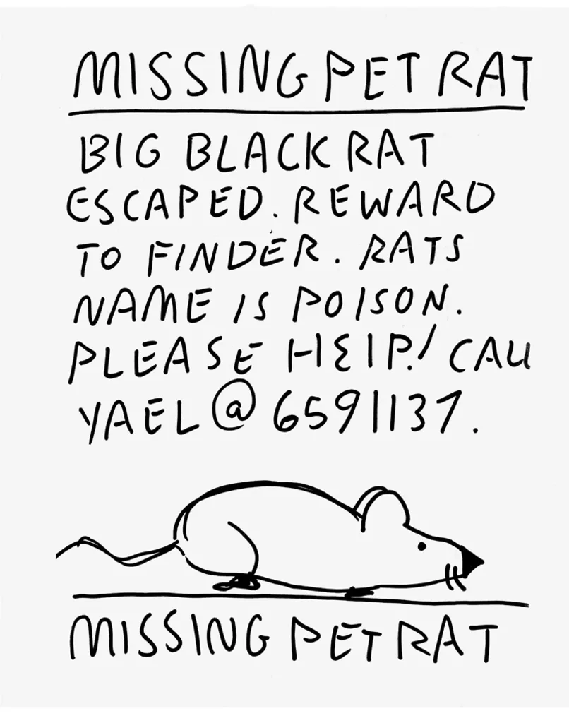 Missing Pet Posters From Around The World Are Weirdly Moving DIY ...