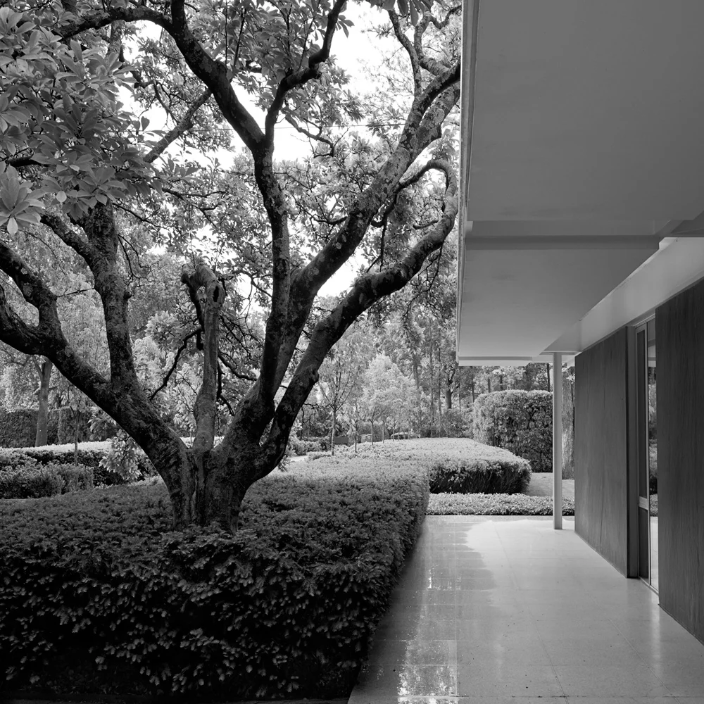 The Glorious Landscape Design Of Dan Kiley - Fast Company