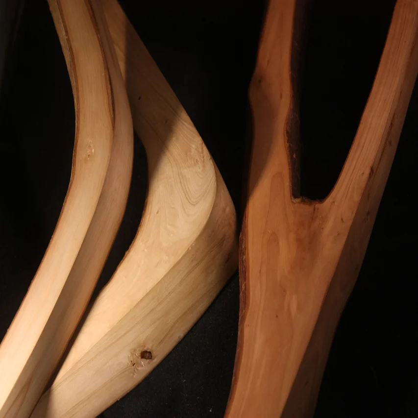 These Molded Trees Grow Into Fully Formed Chairs, Tables, And Lamps ...