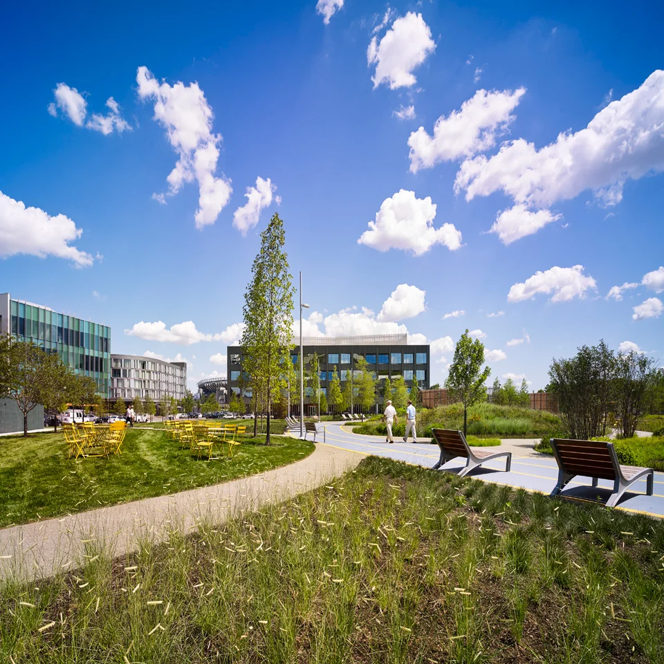 Here's How The High Line's Landscape Architects Reenvision The Office ...