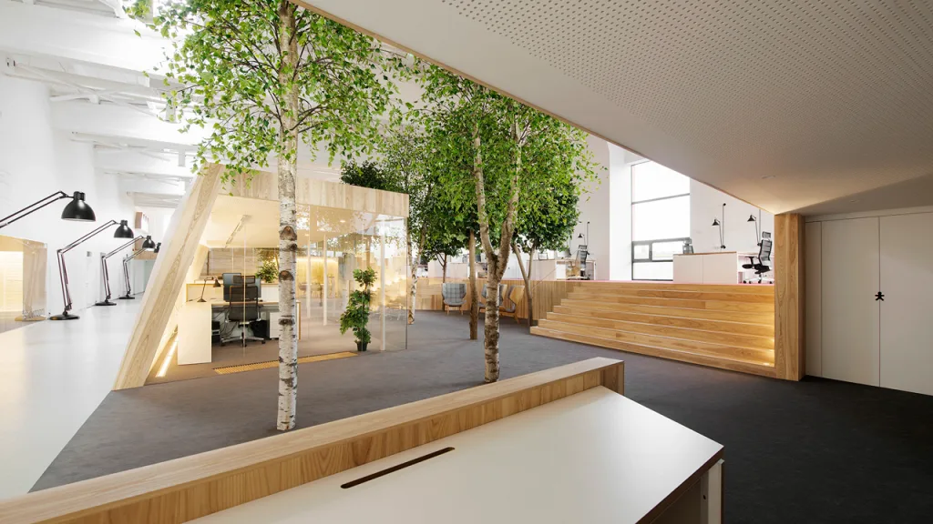 This Office Brought A Mini Forest Indoors - Fast Company