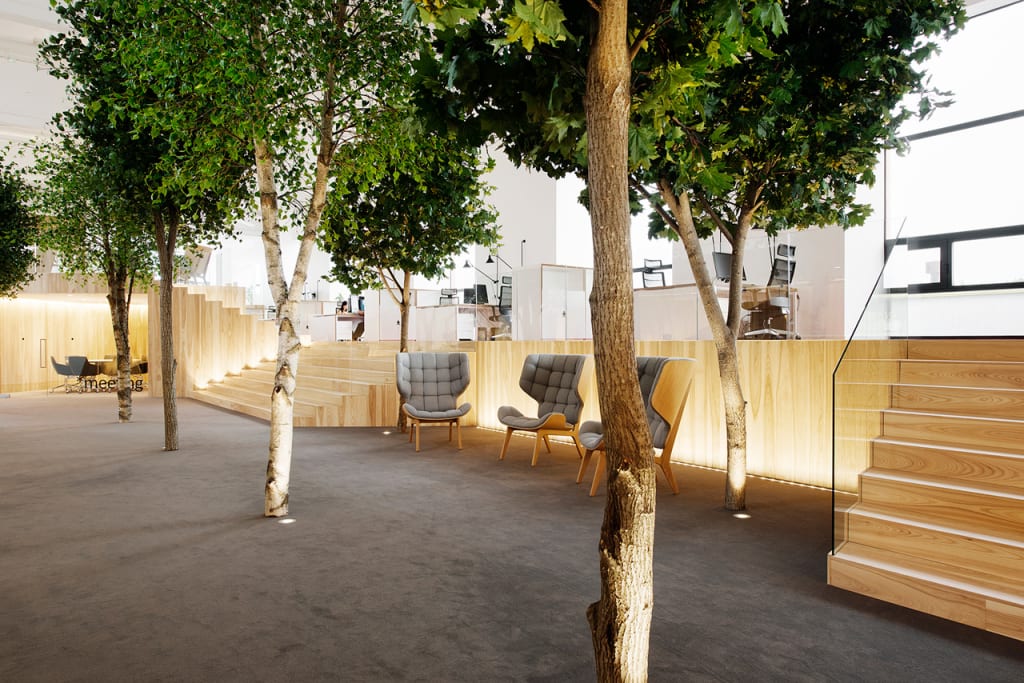 This Office Brought A Mini Forest Indoors - Fast Company