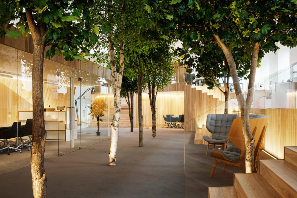 This Office Brought A Mini Forest Indoors - Fast Company