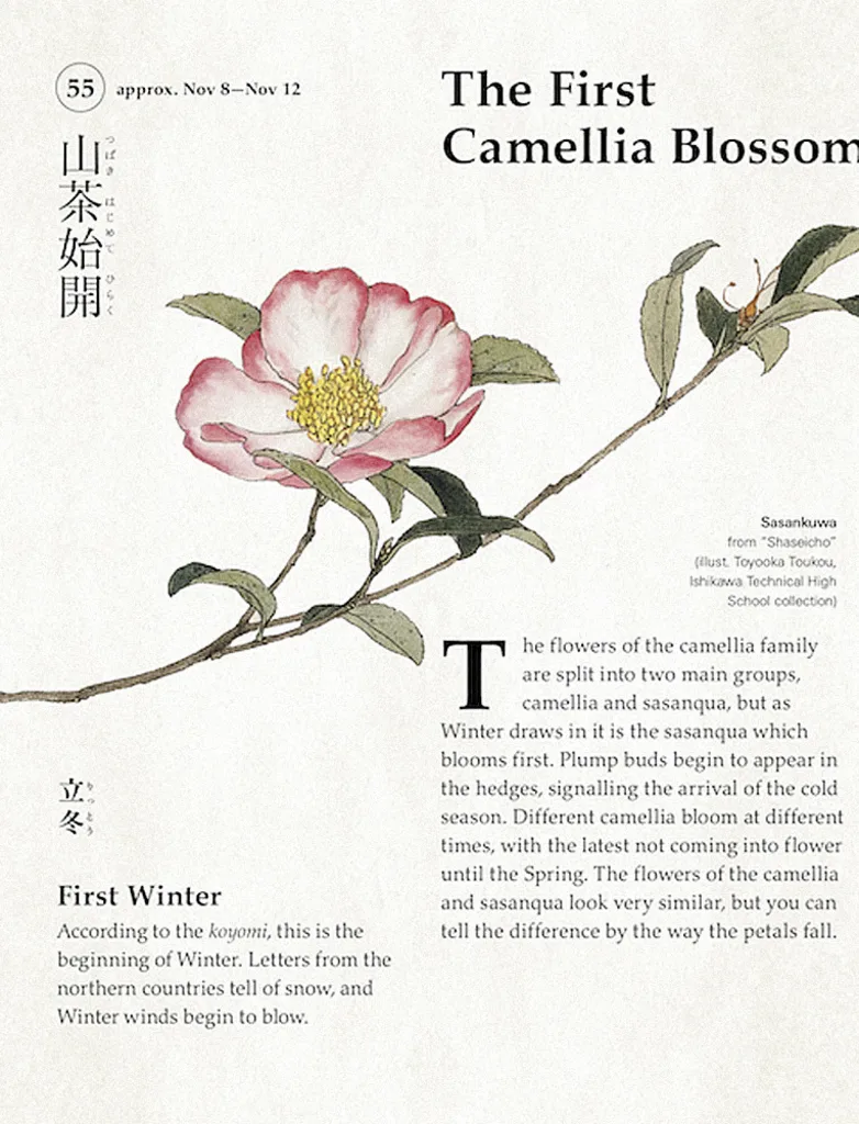 This App Guides You Through All 72 Microseasons In Japan's Traditional Calendar - Fast Company