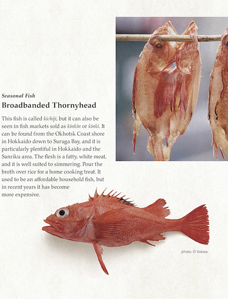 This App Guides You Through All 72 Microseasons In Japan's Traditional ...