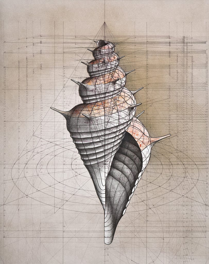 golden ratio coloring book