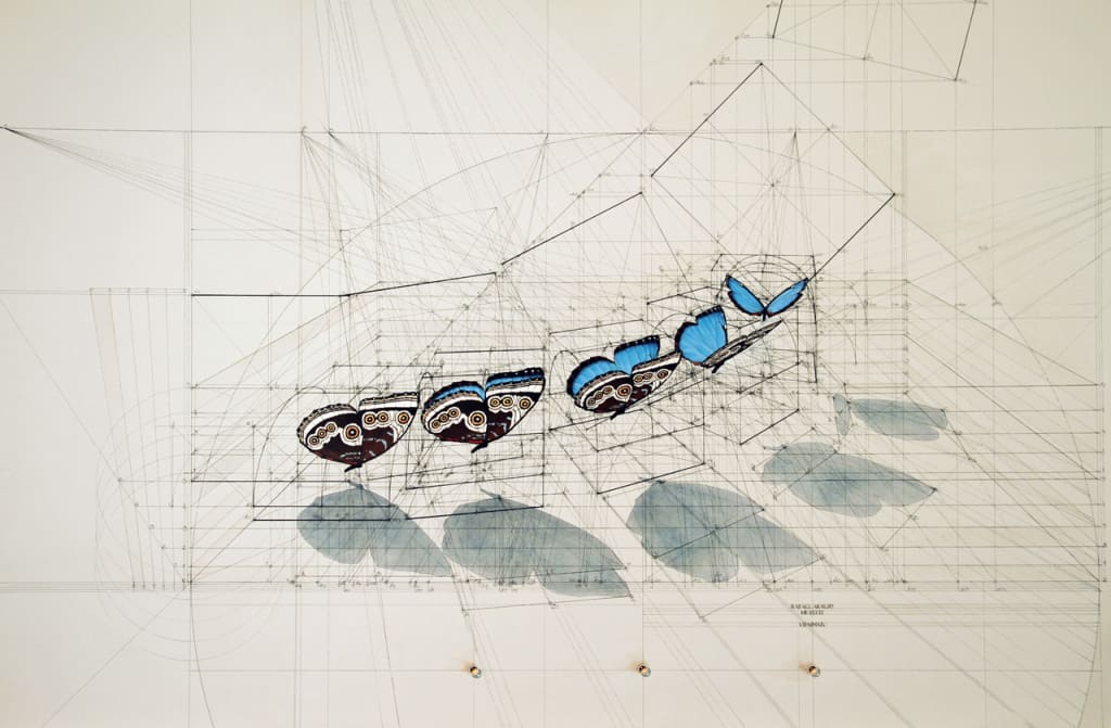 golden ratio coloring book