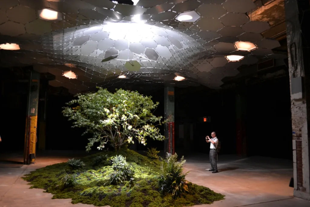 New York City Approves The Lowline, The World's First Underground Park ...