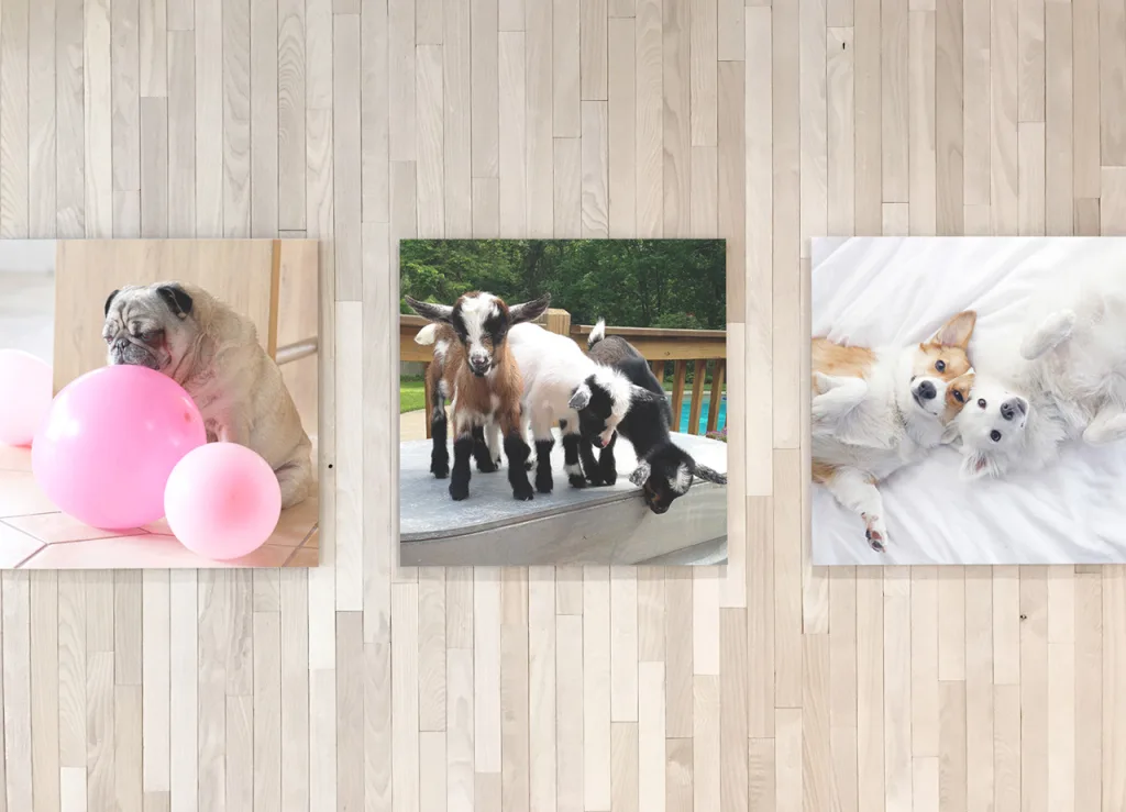 Instagram's New Offices Are Ready For Their Close-Up - Fast Company