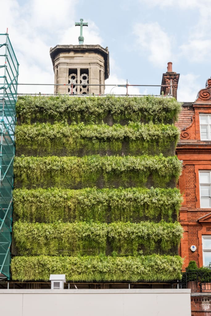 To Hide This Construction Site, There's A Living Wall Instead Of ...