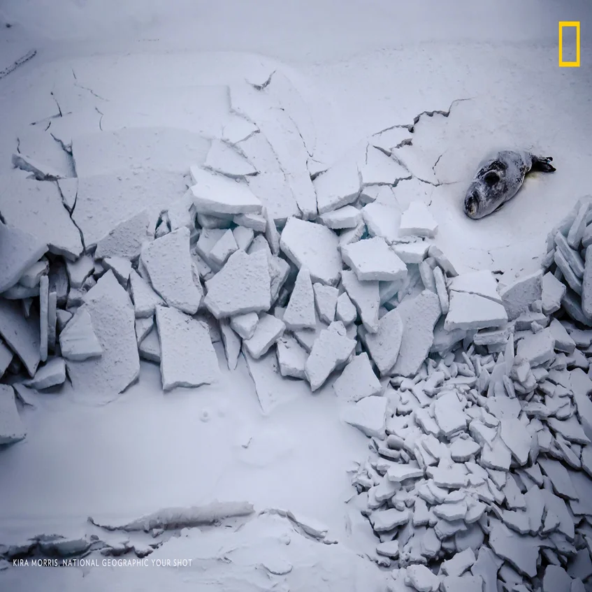 Devastating Images Of Climate Change, From California To India - Fast ...