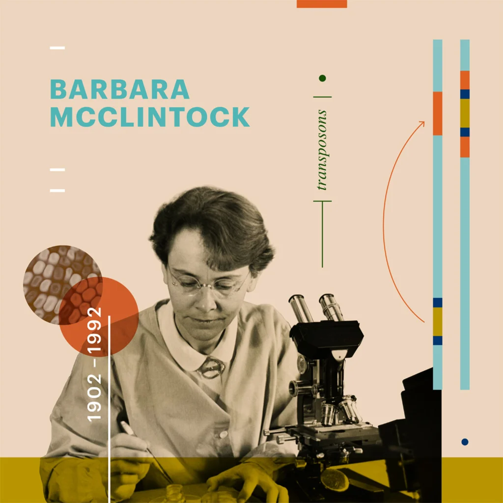 12 Powerful Posters Of Female Scientists That Every Classroom Needs ...