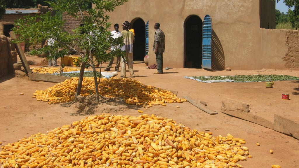 This Ancient Building Technique Could House Millions Of People In ...