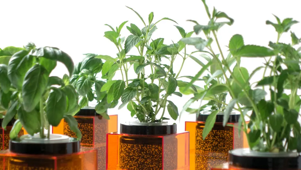 Grow Hydroponic Crops On Your Desk With These NASA-Inspired Planters ...