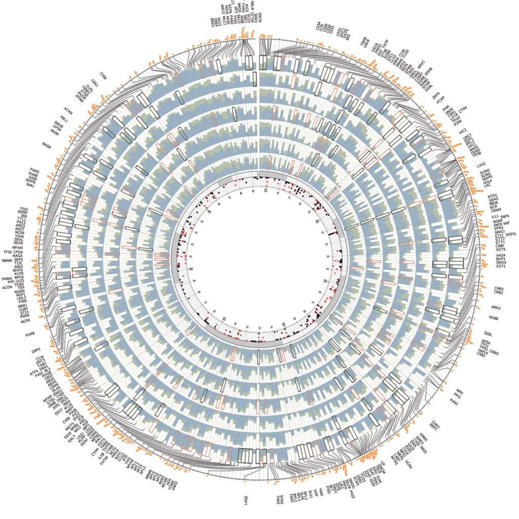 Why Humans Are Obsessed With Circles, According To Science - Fast Company
