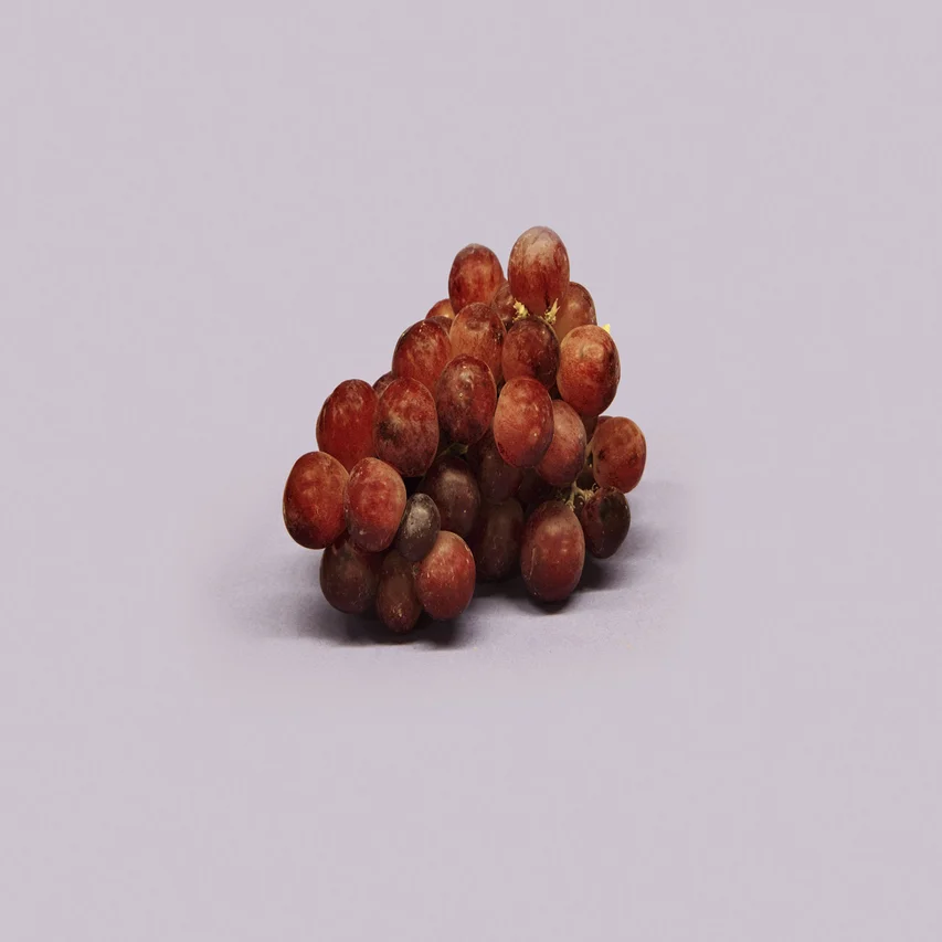 A Beautiful, Terrifying Guide To The World's Man-Made Plants And ...