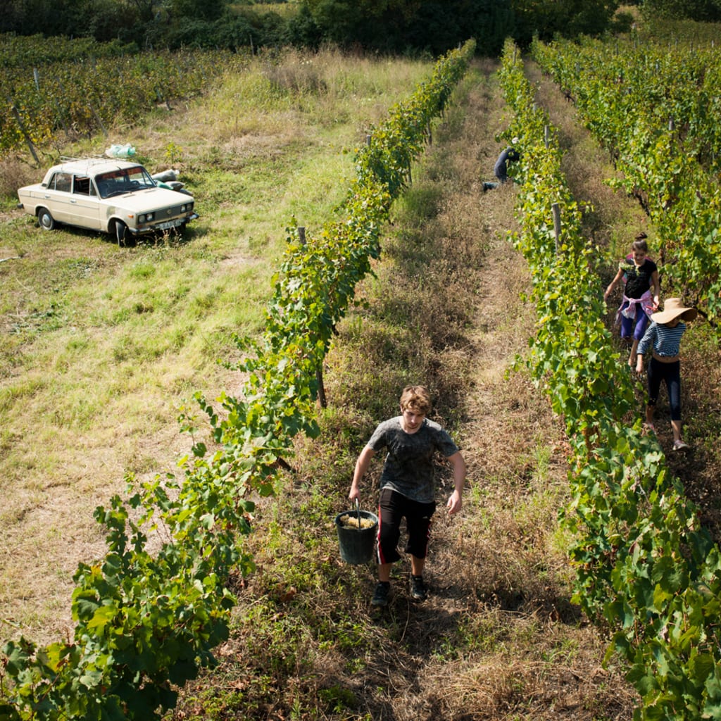 The 9,000-Year-Old History Of Booze, In Photos - Fast Company