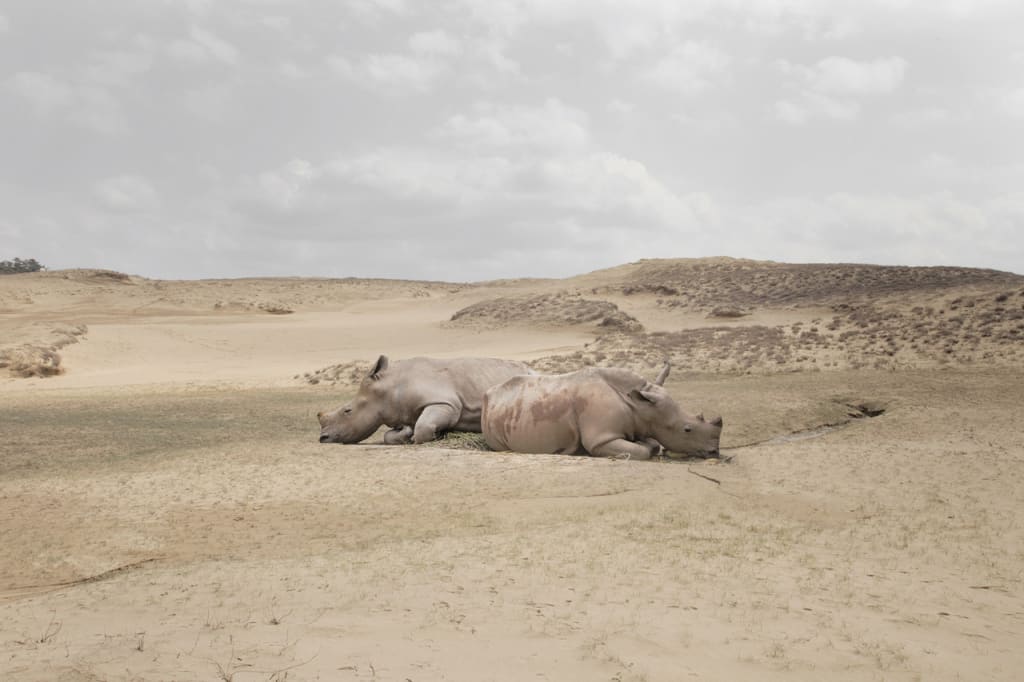 A Beautiful, Terrifying Guide To The World's Man-Made Plants And ...