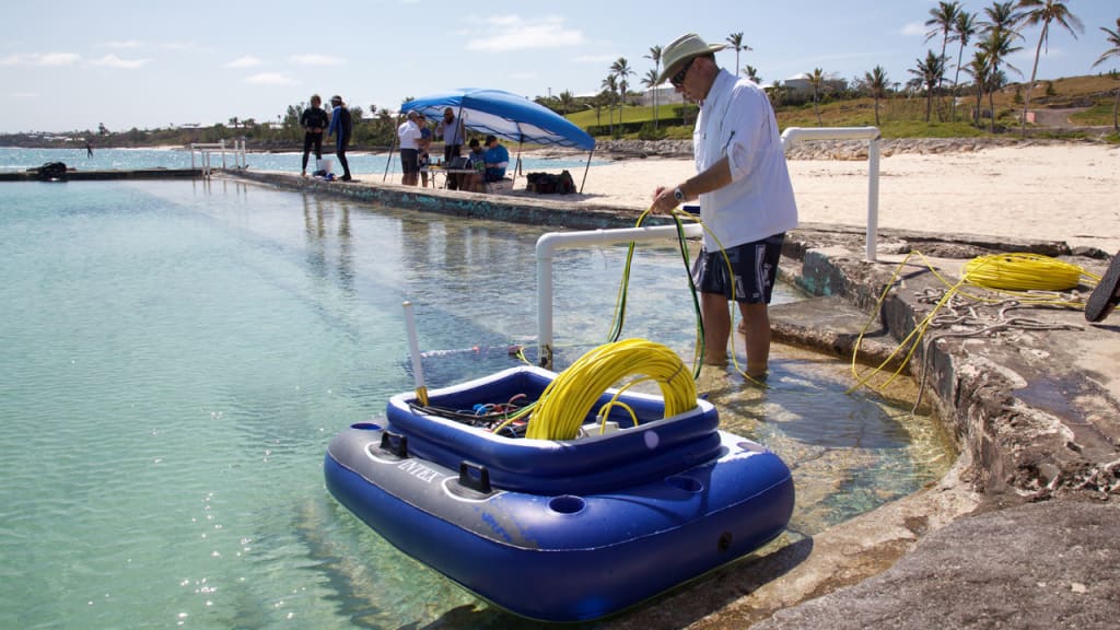 The Inventor Of Roomba Has A New Robot That Sucks Up Invasive Fish ...