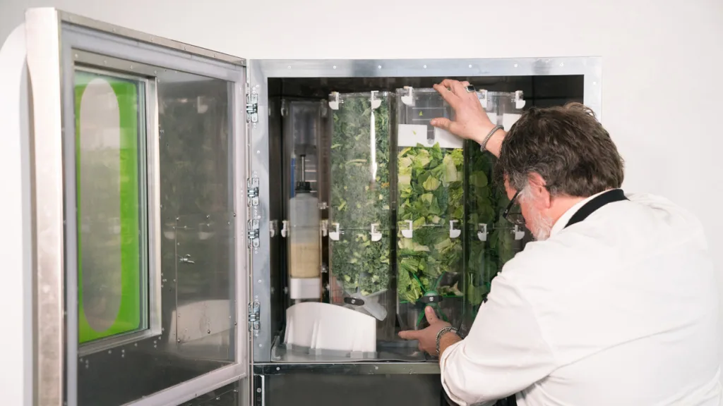 This Salad-Making Machine Will Make You The Perfect Salad In 60 Seconds ...