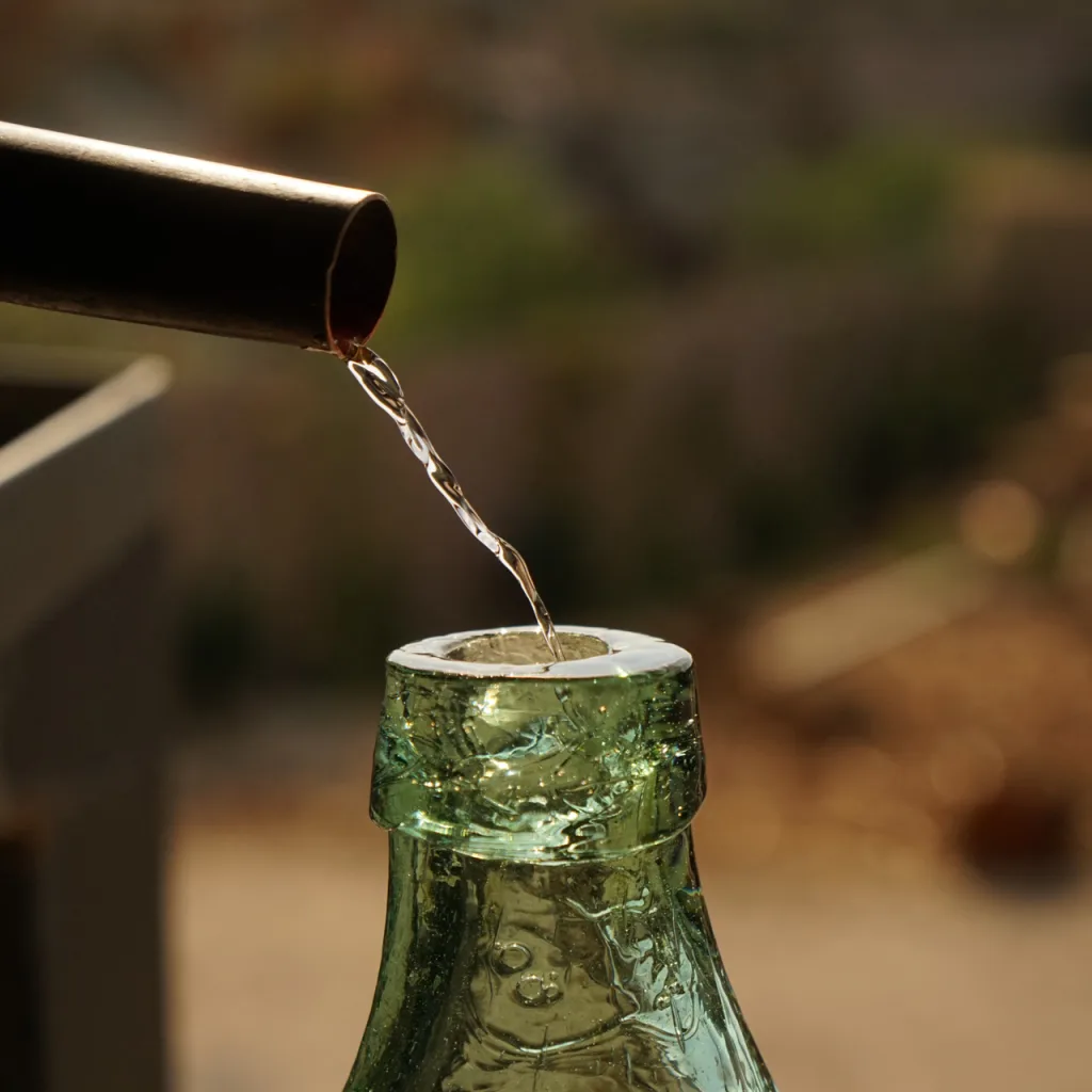 This Sustainable Mezcal Production Process Produces Both Drinks And ...