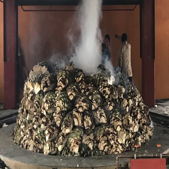 This Sustainable Mezcal Production Process Produces Both Drinks And ...