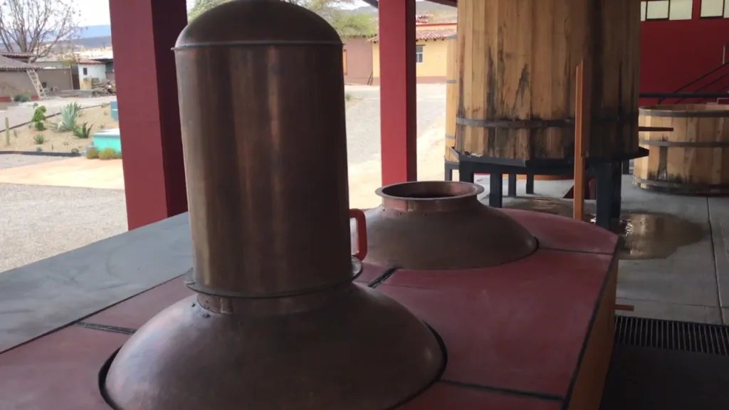 This Sustainable Mezcal Production Process Produces Both Drinks And ...