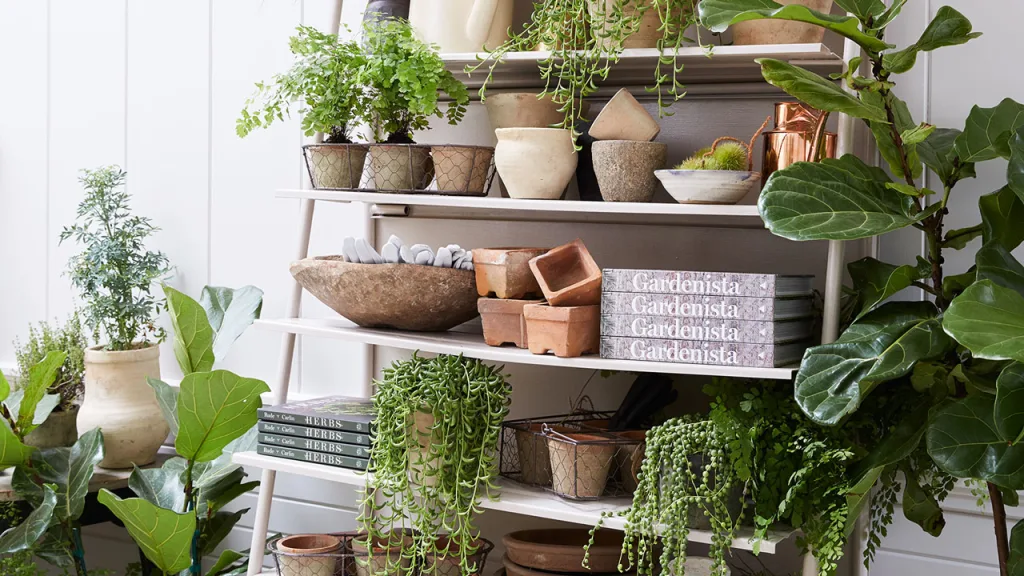 Goop's First Permanent Store Is Made To Look Like A Hollywood Home ...